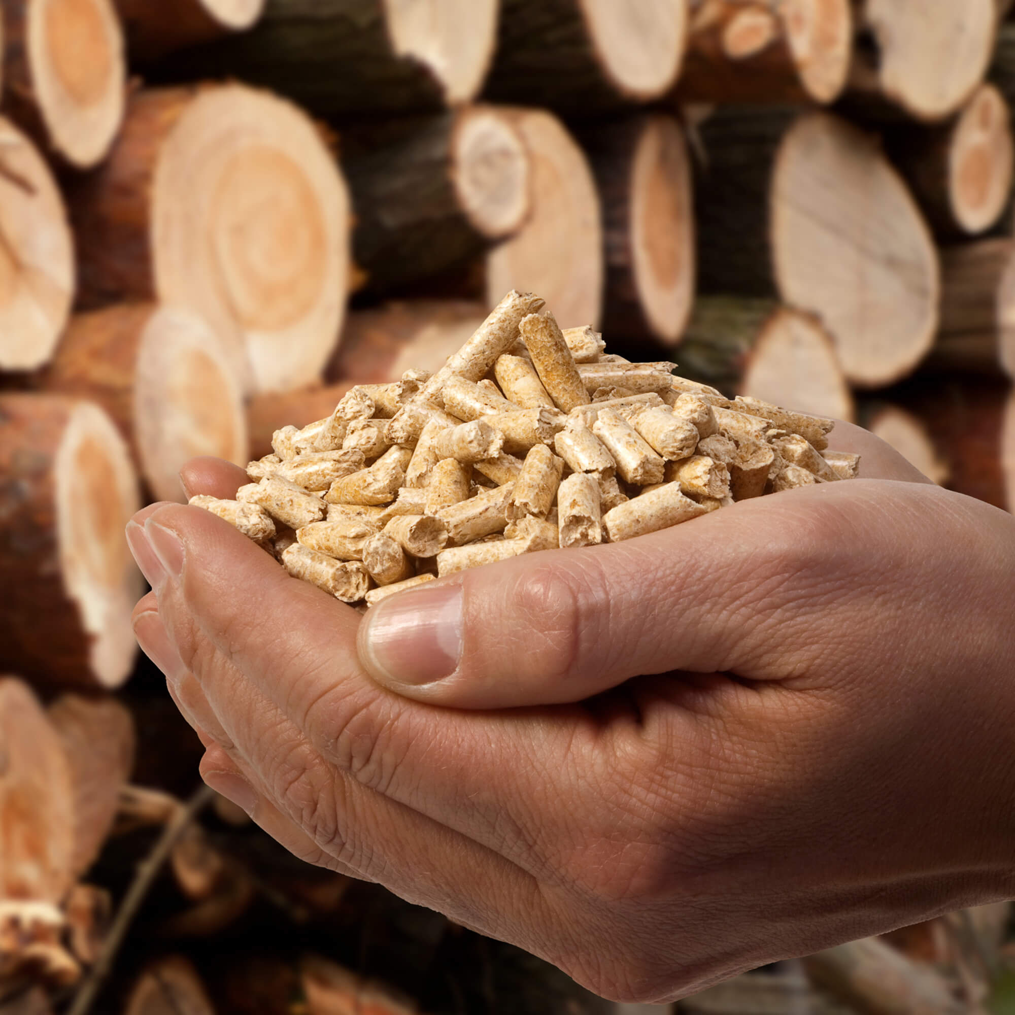 Die Qualität unserer Pellets ist uns wichtig! - Weinsberg Pellets